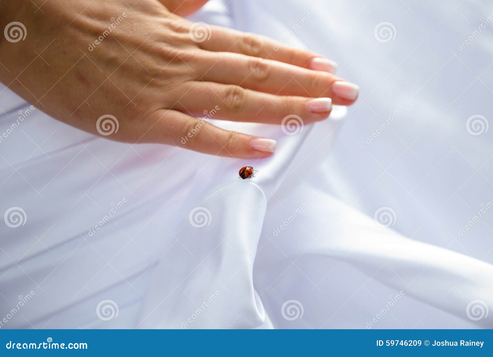 Bride with Ladybug on Hand stock image. Image of summer - 59746209
