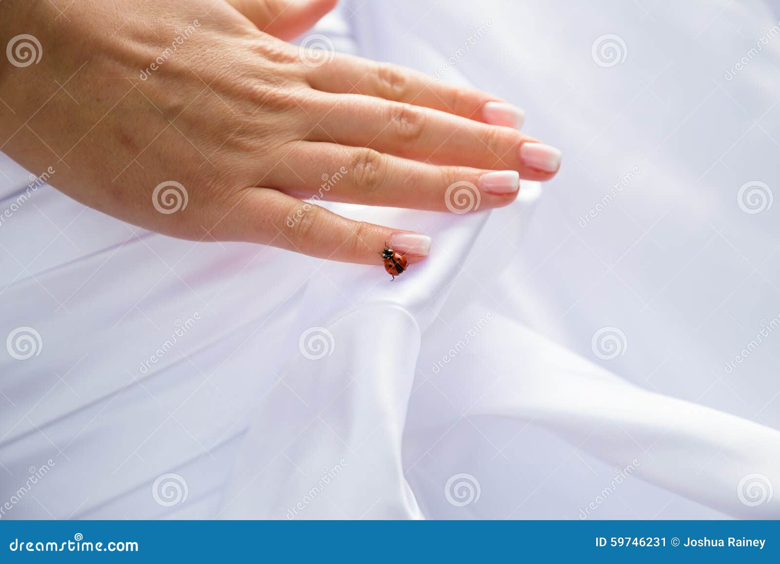 Bride with Ladybug on Hand stock image. Image of pretty - 59746231