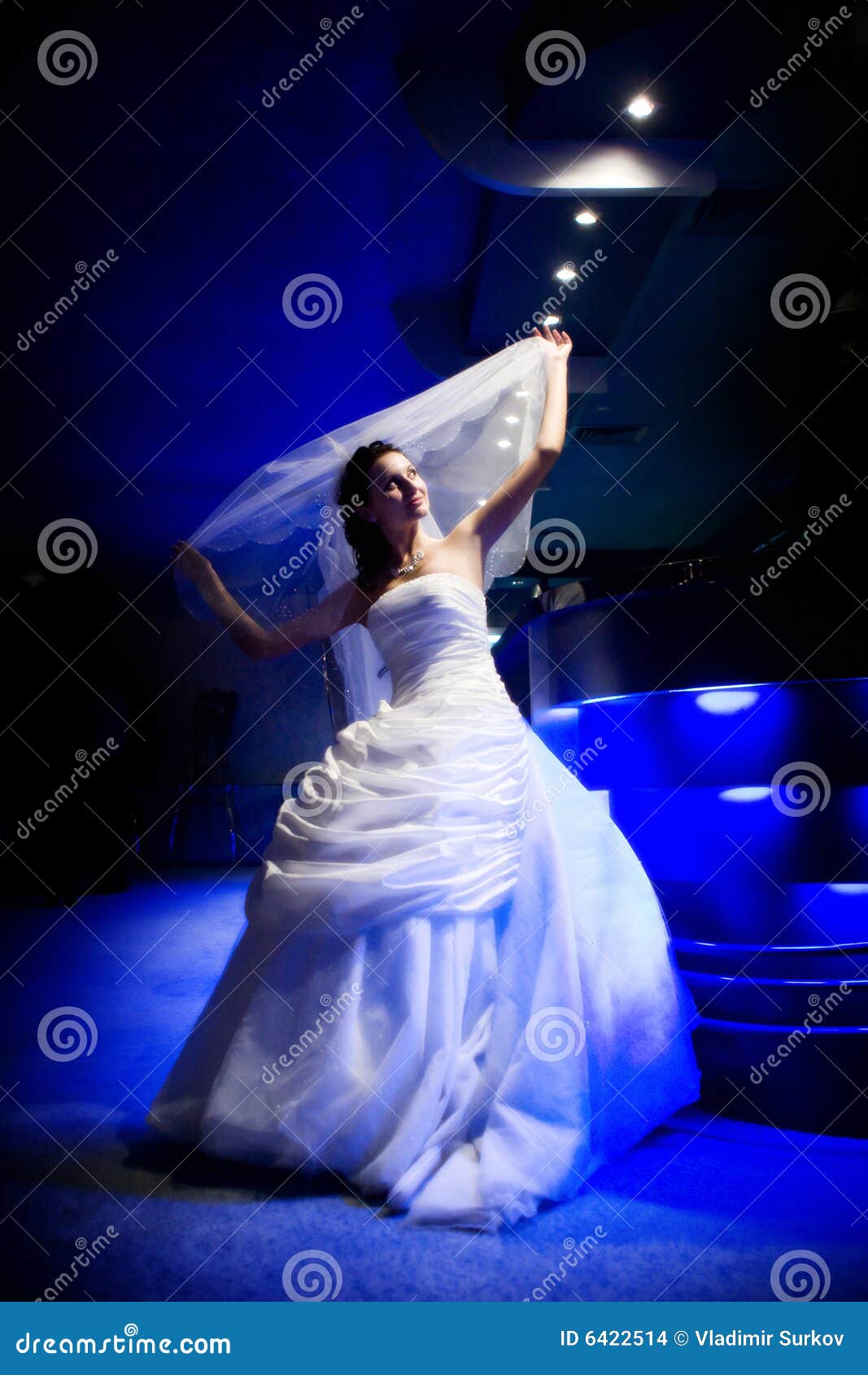 Bride in the Light of Night Stock Photo - Image of lamp, bride: 6422514
