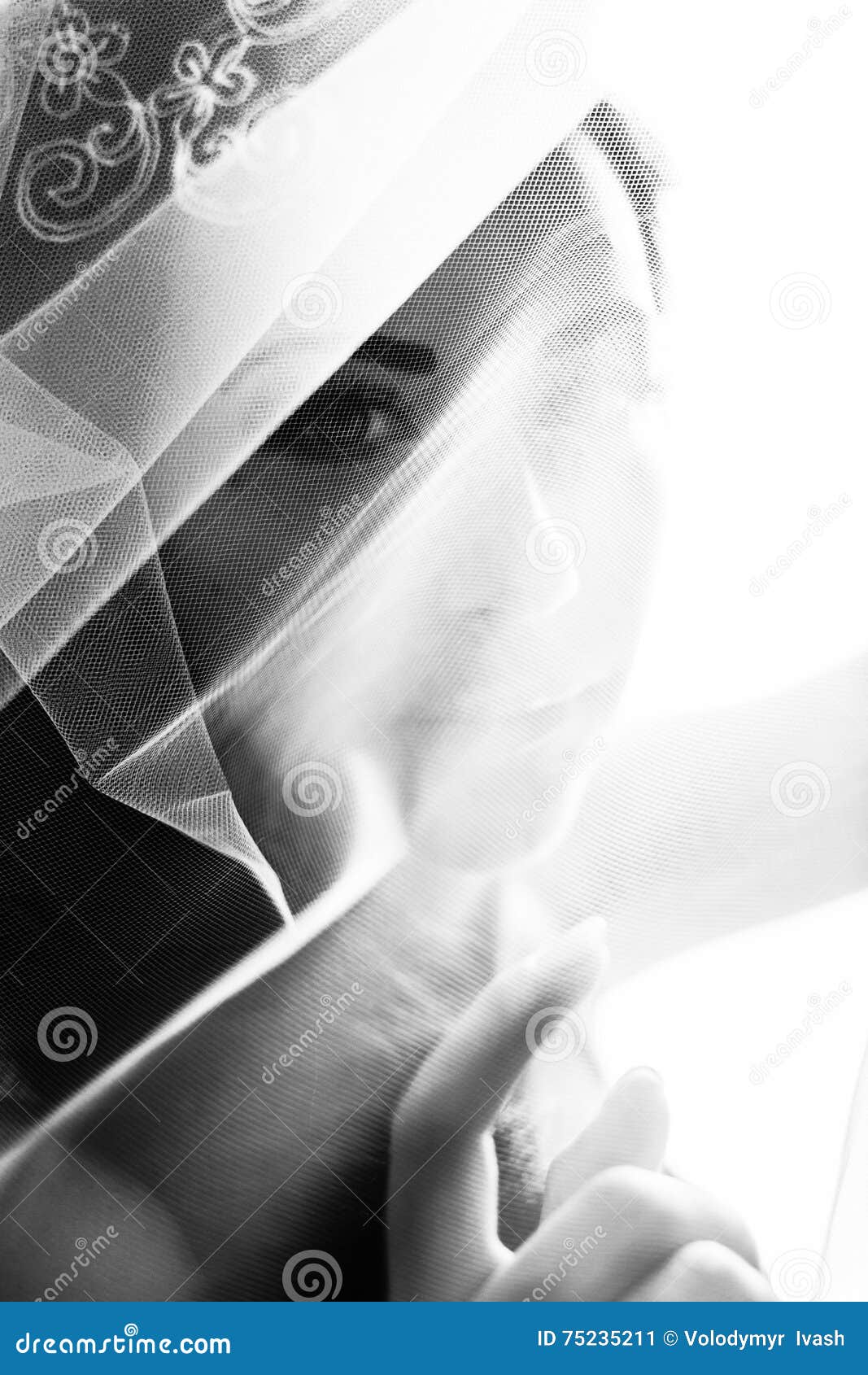 Bride Looks Mysterious Being Covered with a Veil Stock Image - Image of ...