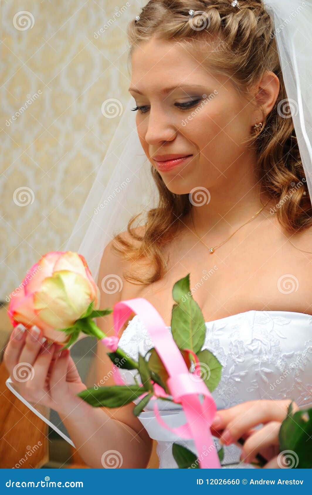 The bride looks at a rose stock photo. Image of beautiful - 12026660