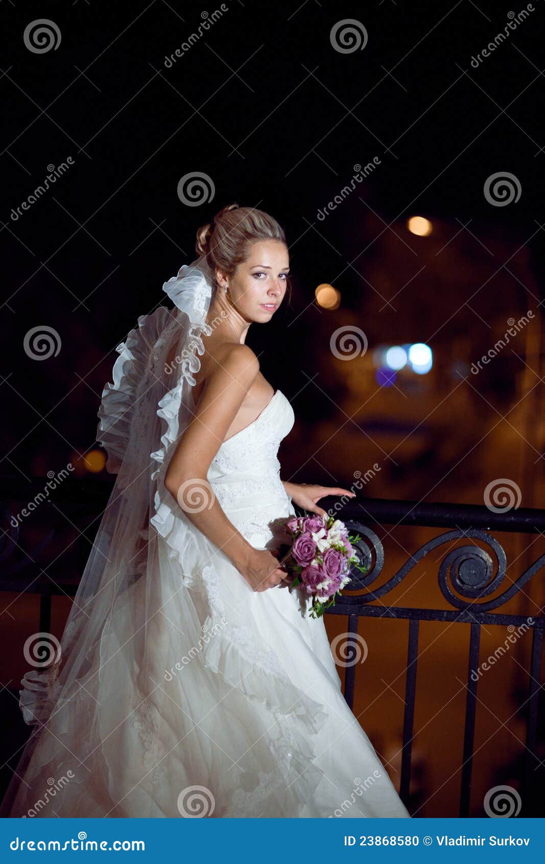 Bride at night stock photo. Image of dress, fashion, females - 23868580
