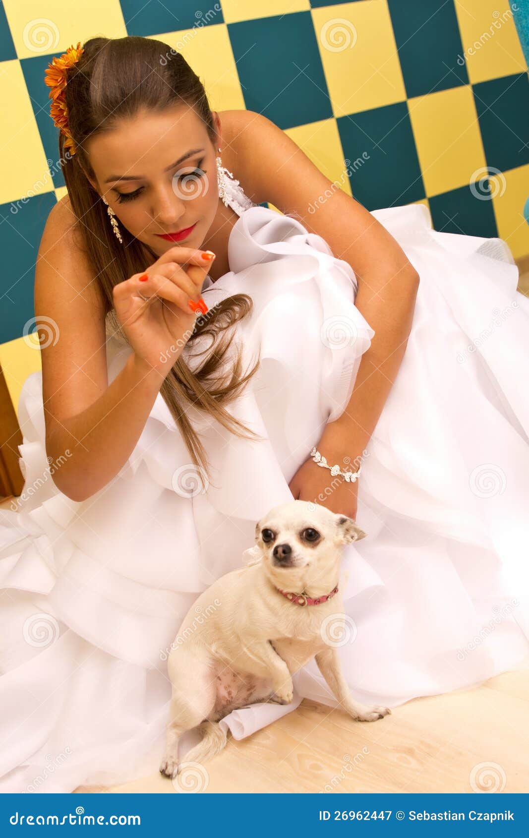 Bride with pet dog stock image. Image of beauty, adult - 26962447
