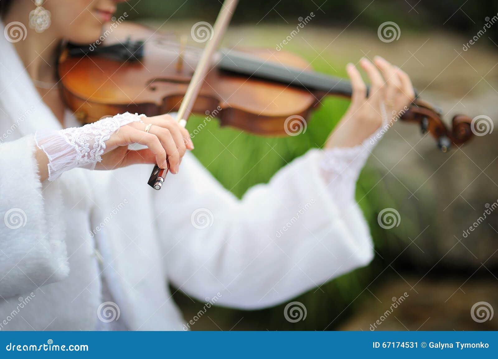 3,712 Violin Summer Stock Photos - Free & Royalty-Free Stock Photos ...