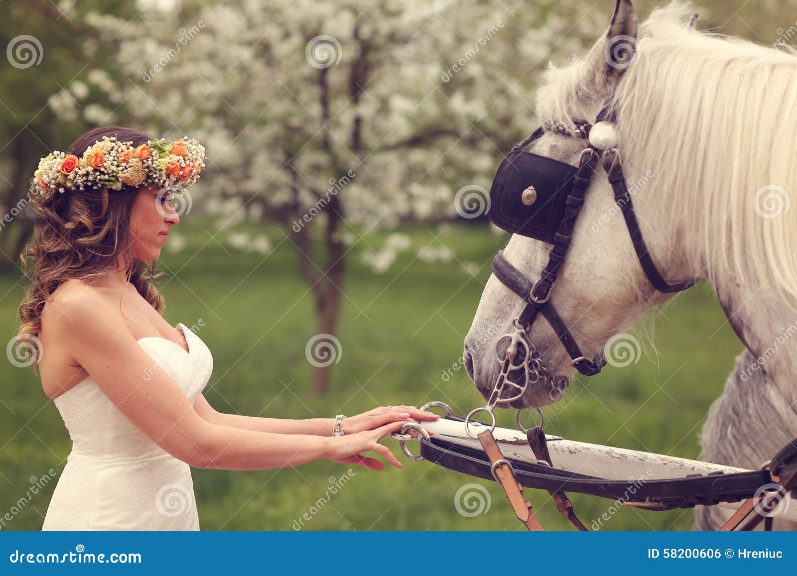 Bride Playing with White Horses Stock Photo - Image of flowers ...