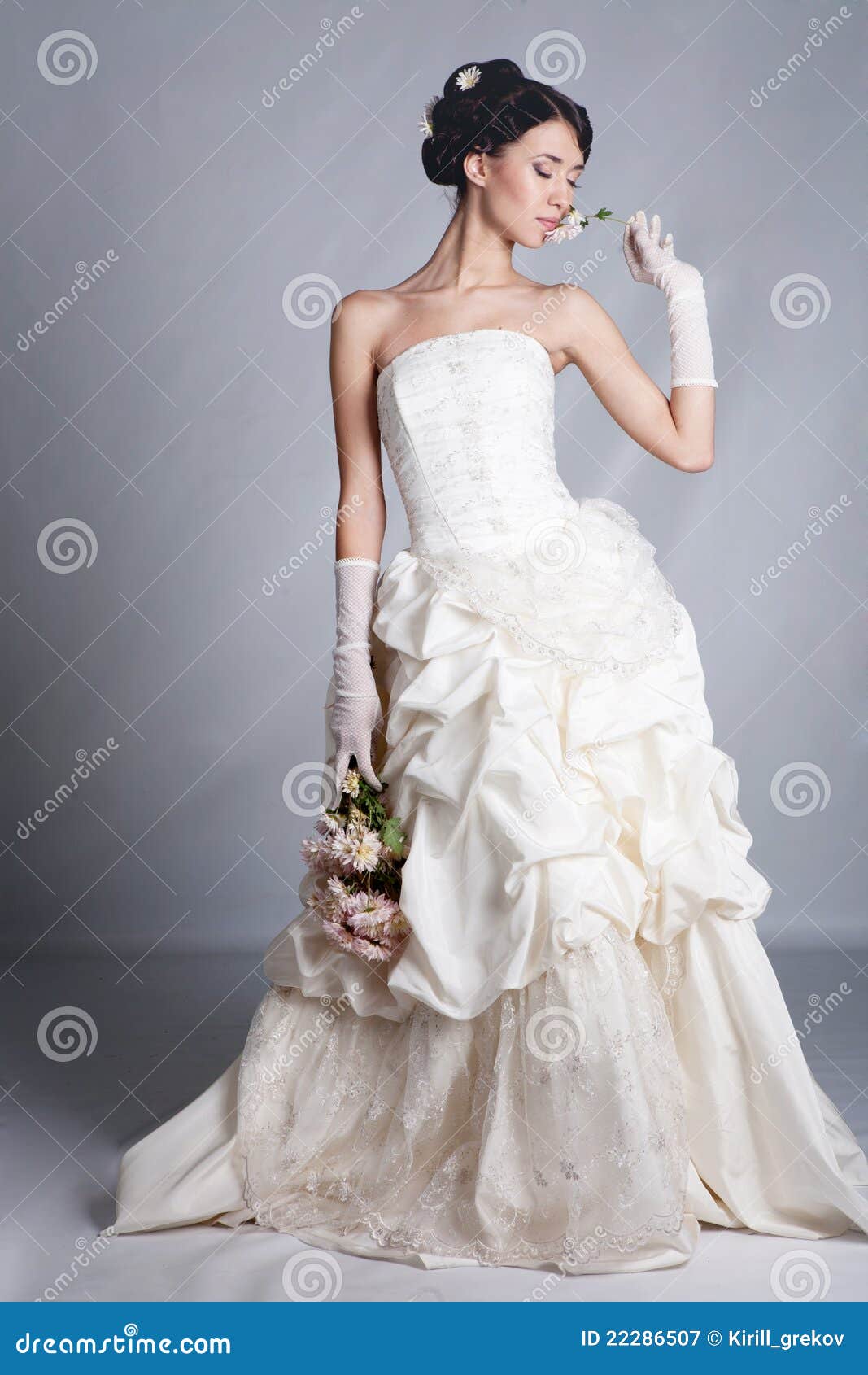 Bride portrait stock image. Image of hairstyle, freshness - 22286507