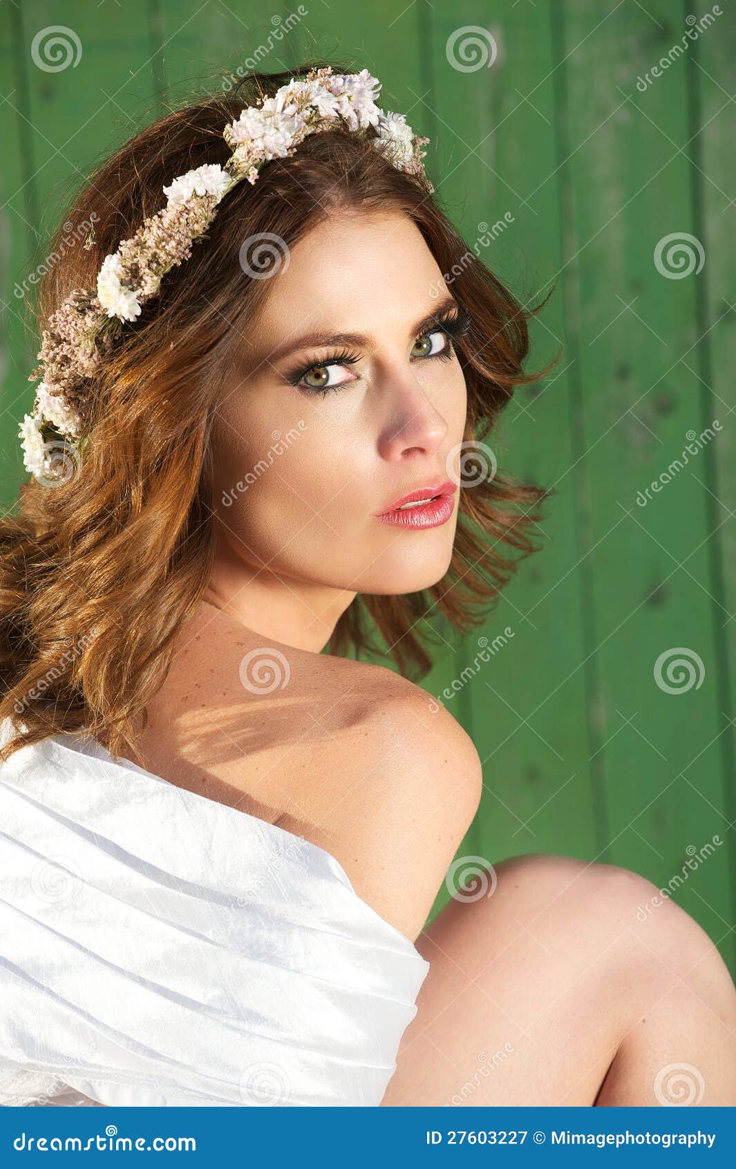 Bride Portrait stock image. Image of fashion, hair, adult - 27603227