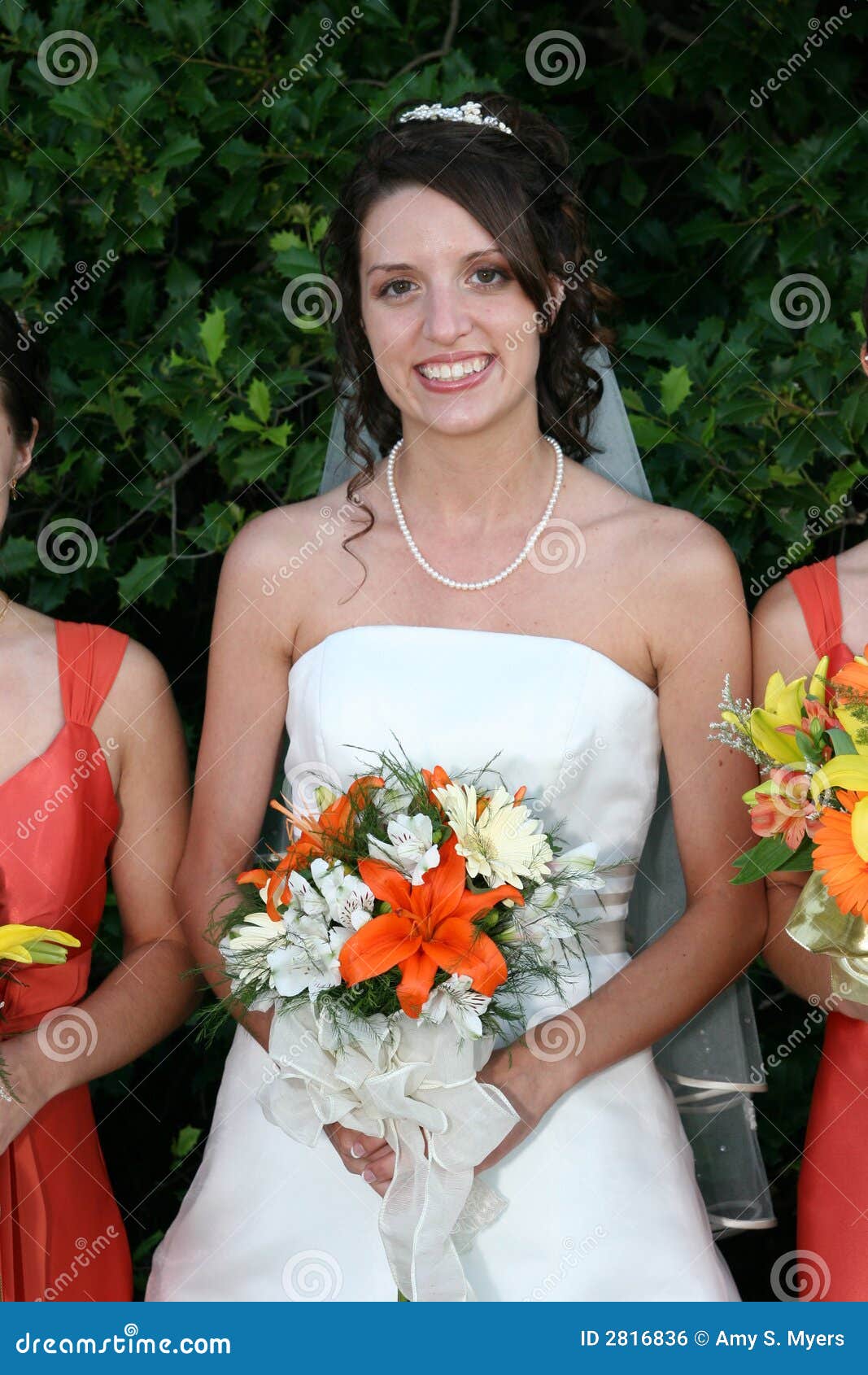 Bride Portrait stock photo. Image of formal, marry, love - 2816836