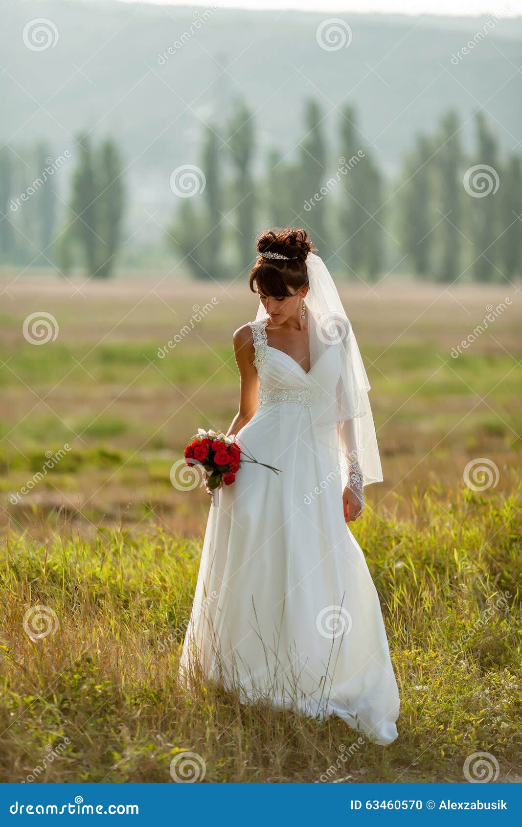 Bride poses outdoors stock photo. Image of looking, cute - 63460570