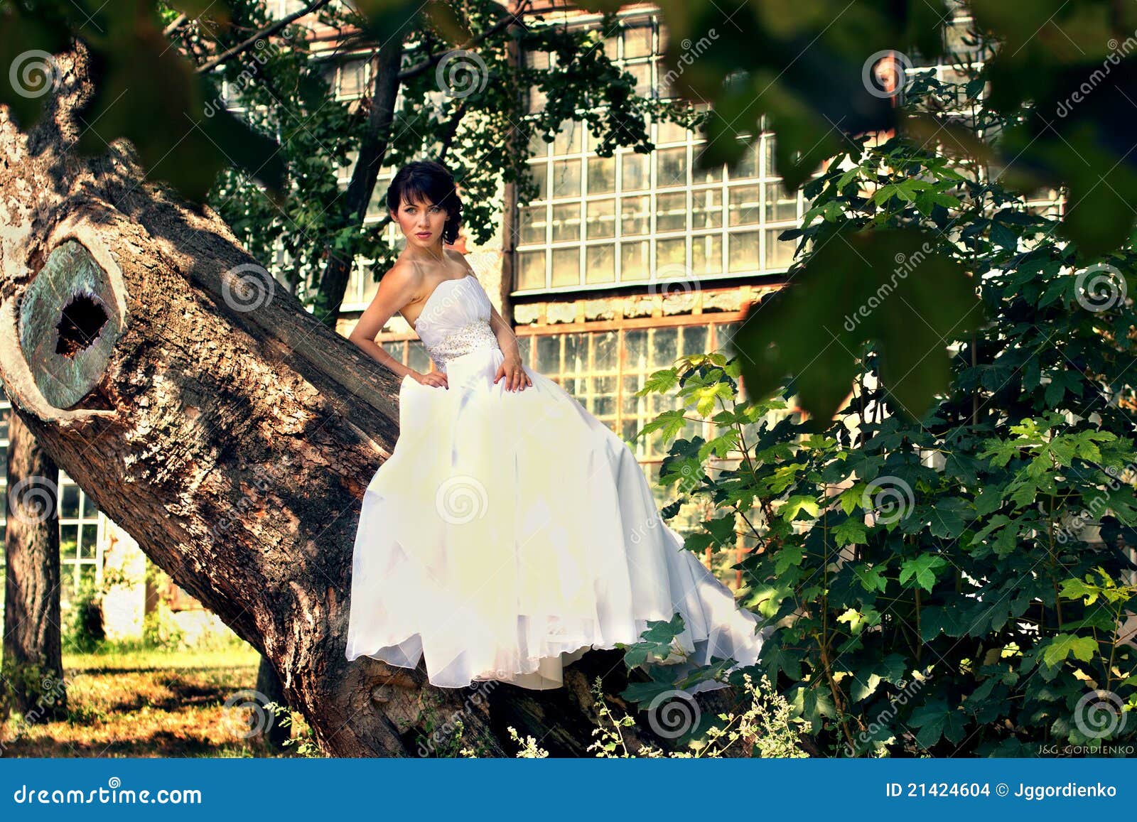Bride Poses on a Tree in the Garden Stock Photo - Image of face, horses ...