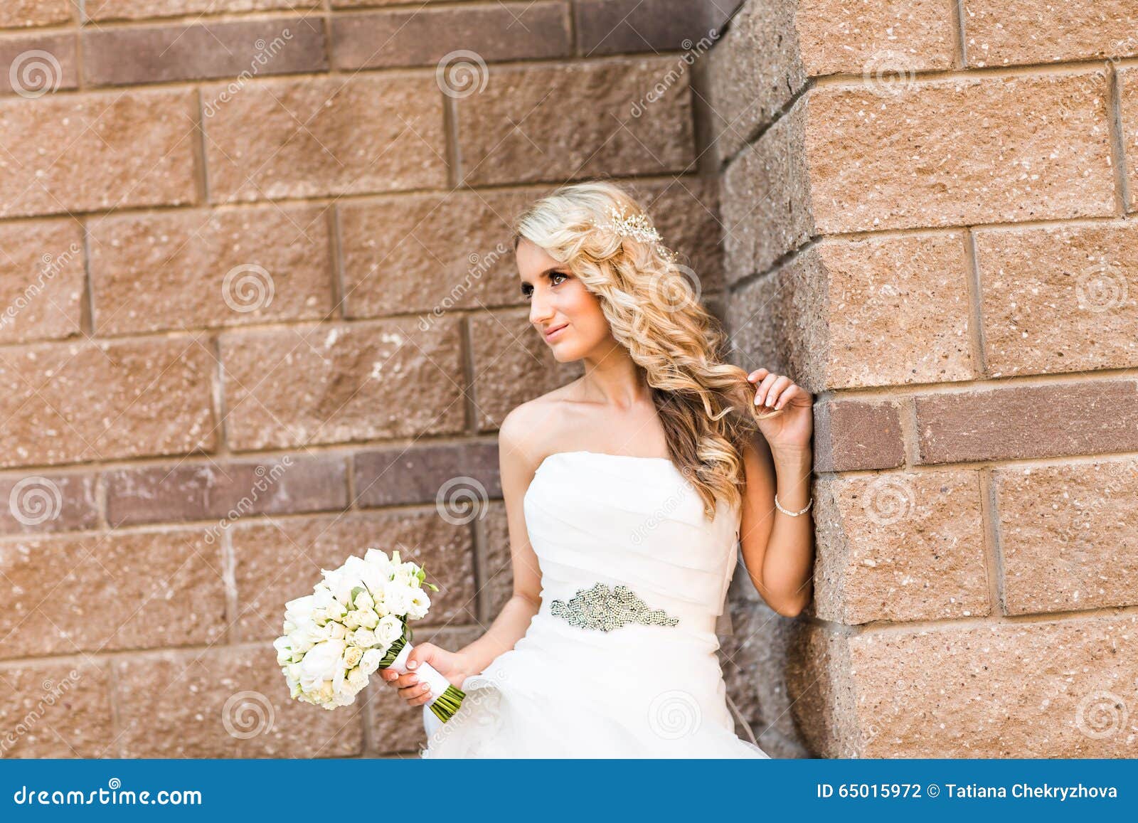 Bride Posing Outdoors - Soft Focus Stock Photo - Image of elegant ...