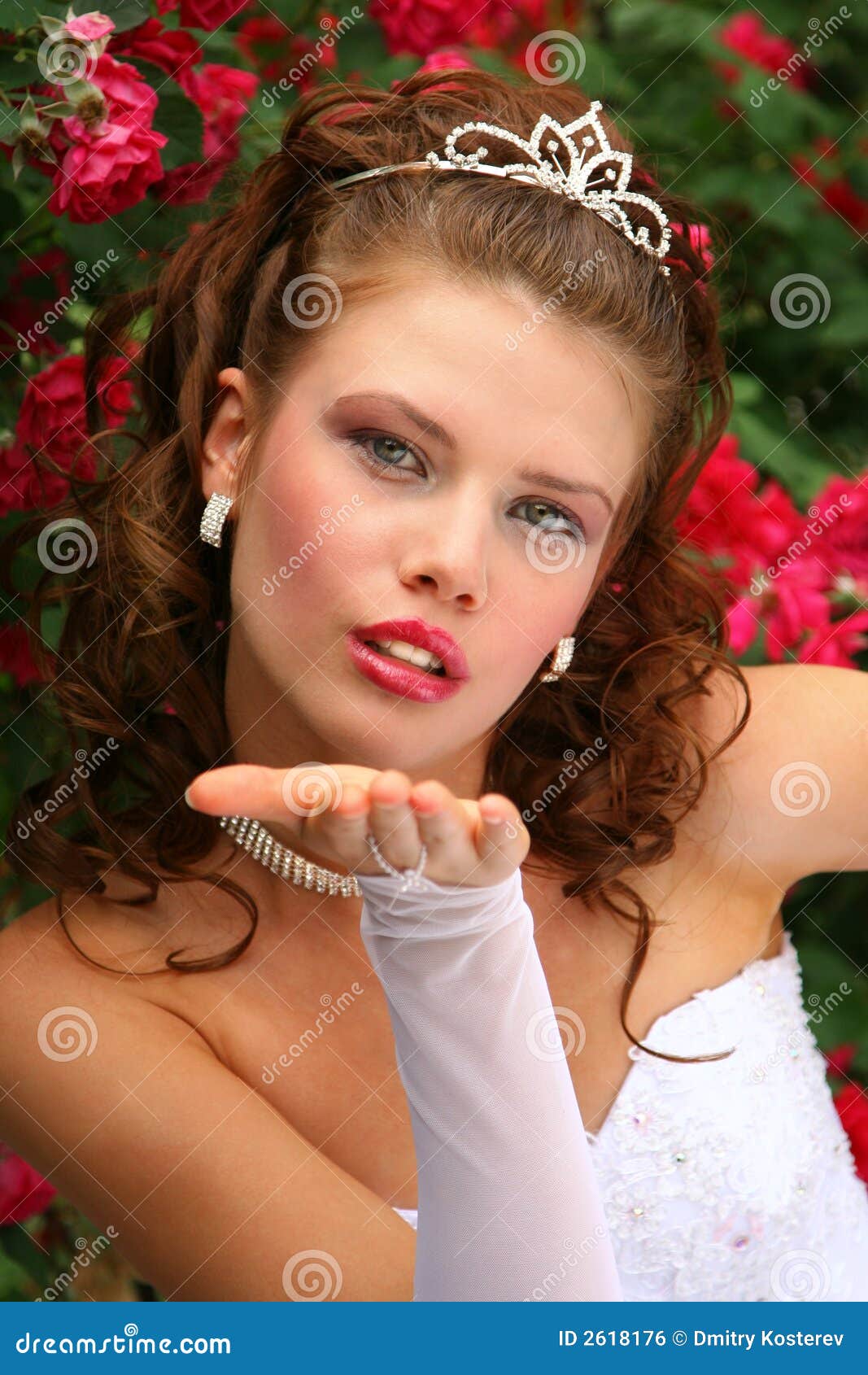 Bride in the Red Roses stock photo. Image of brightly - 2618176