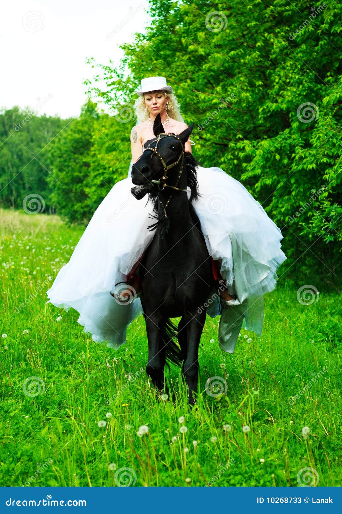 Bride riding a horse stock image. Image of beautiful - 10268733