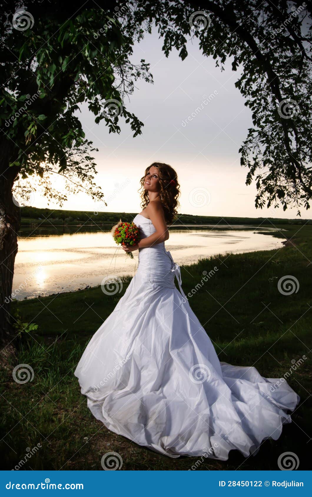 The Bride at the Riverside Under the Arch of Branches, Back View Stock ...