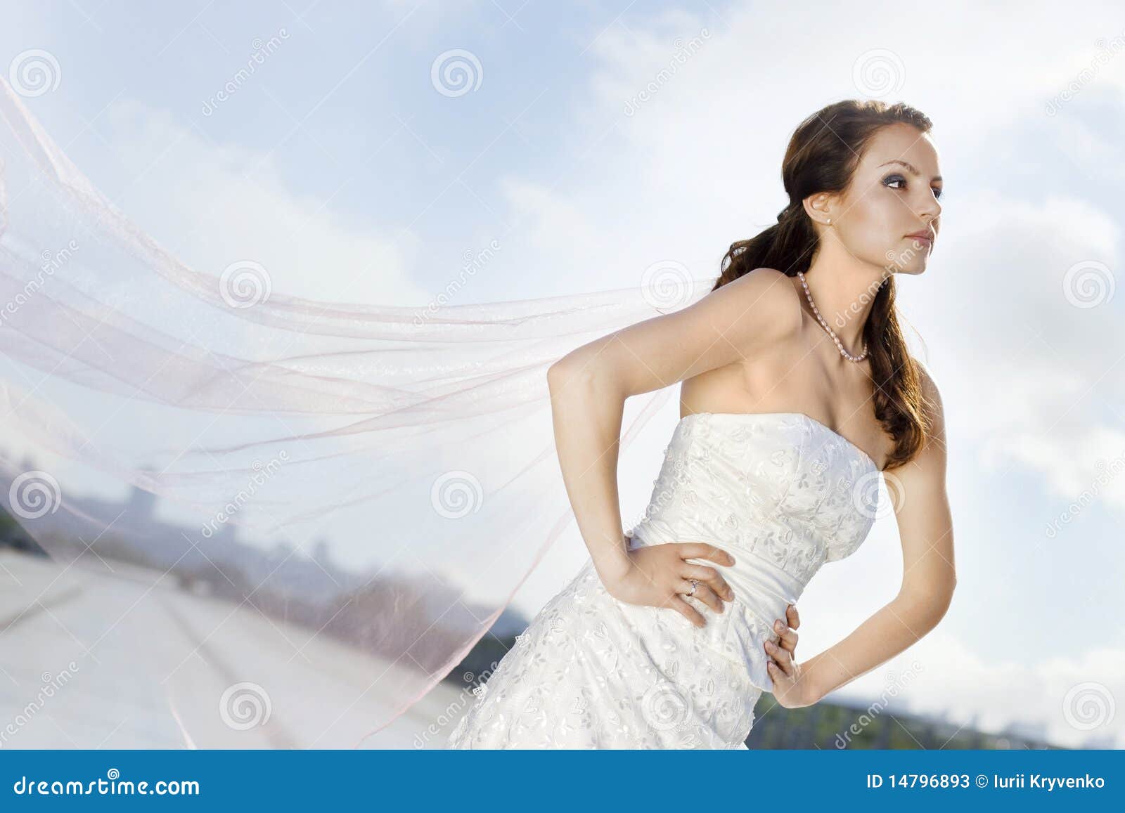 Bride on the road stock image. Image of journey, dress - 14796893