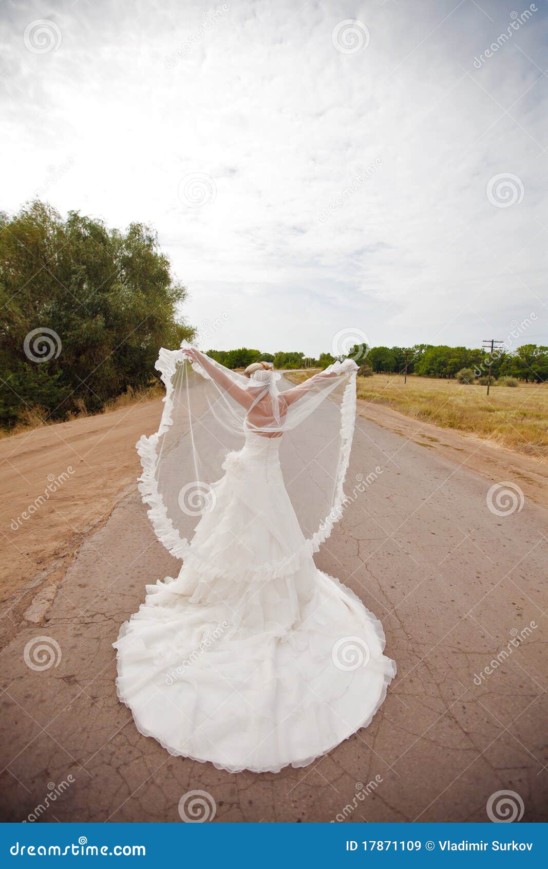 Bride on the road stock image. Image of adult, charming - 17871109
