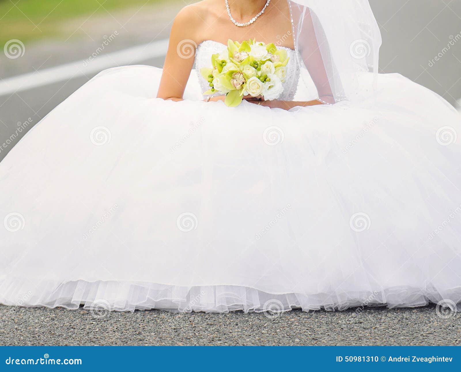 Bride on Road stock photo. Image of road, holding, colored - 50981310