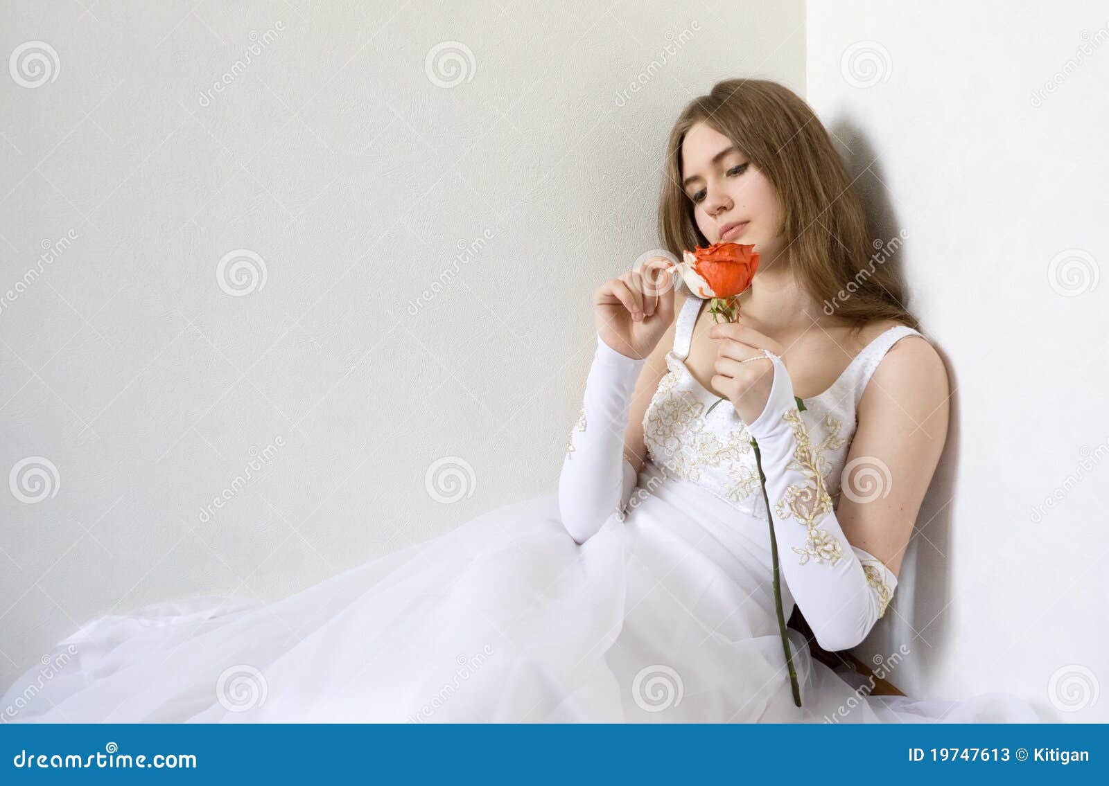 Bride and Rose stock image. Image of dress, hold, portrait - 19747613