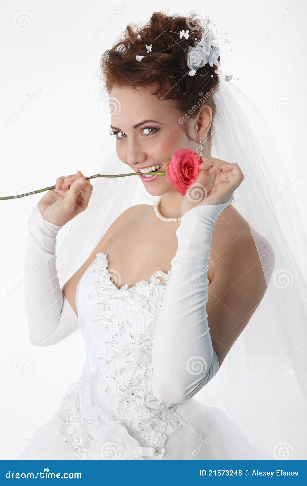 Bride and rose stock photo. Image of gown, human, cute - 21573248