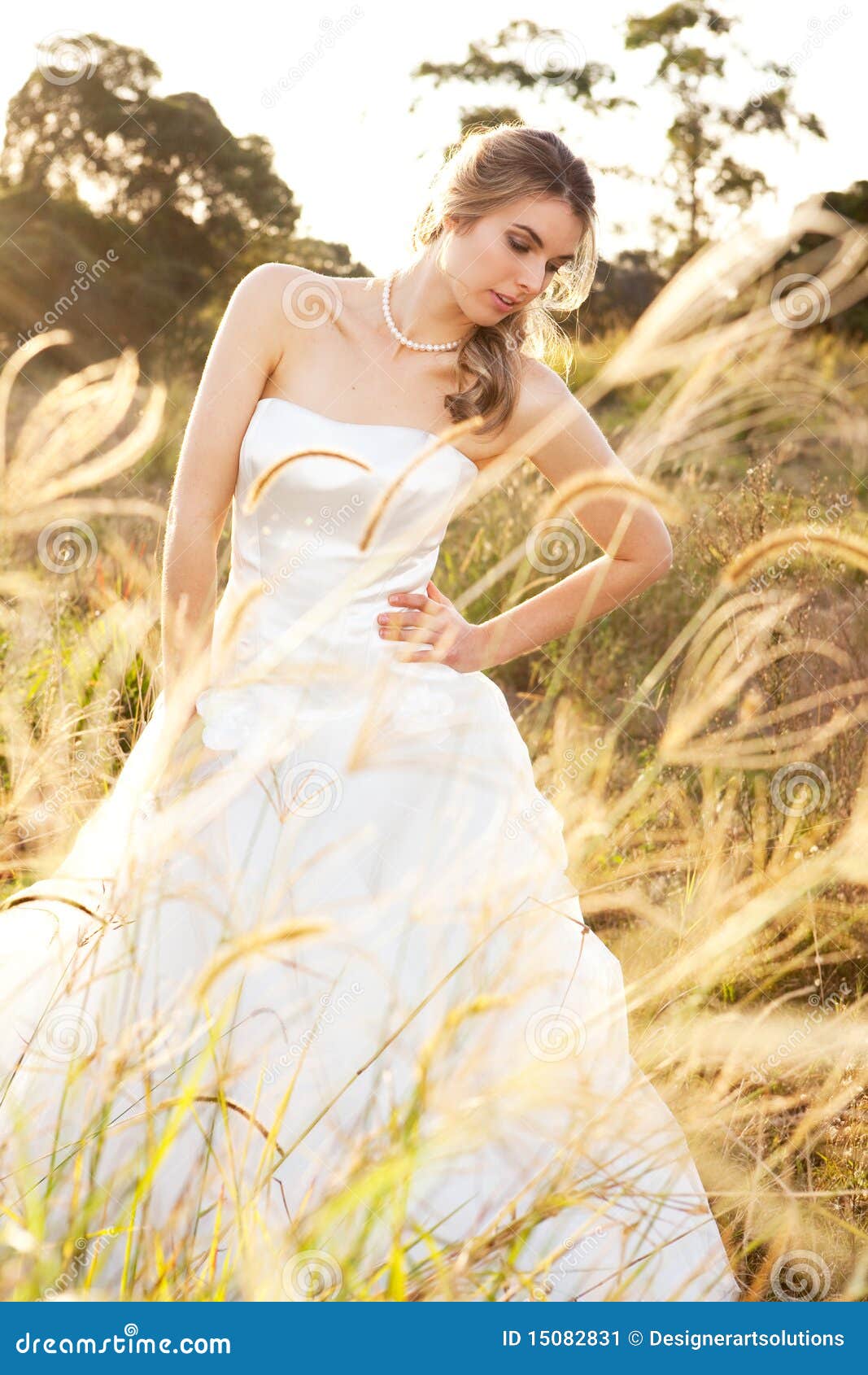 Bride in a Rural Landscape stock image. Image of beauty - 15082831