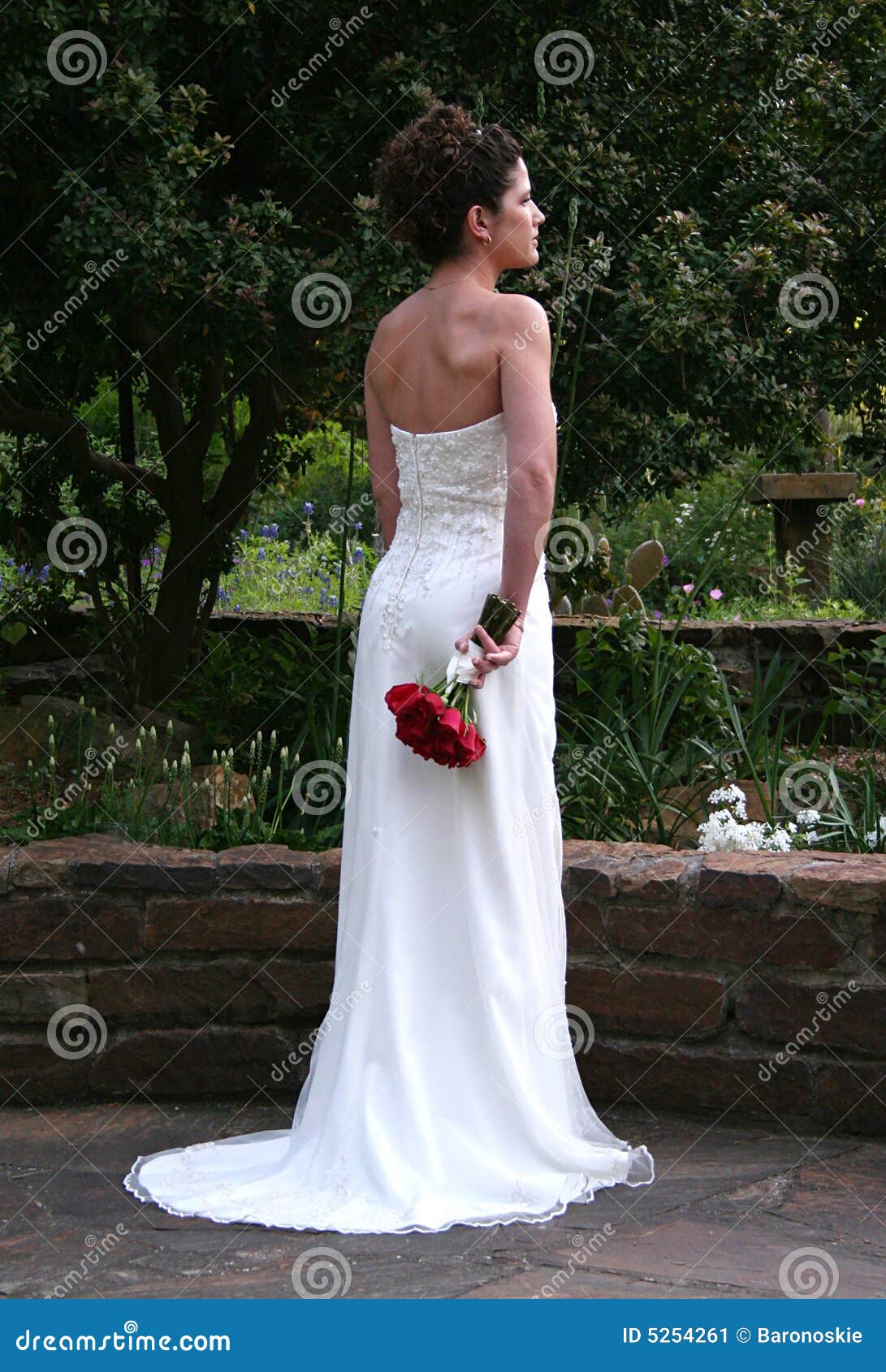 Bride s Back stock image. Image of bouquet, beauty, white - 5254261