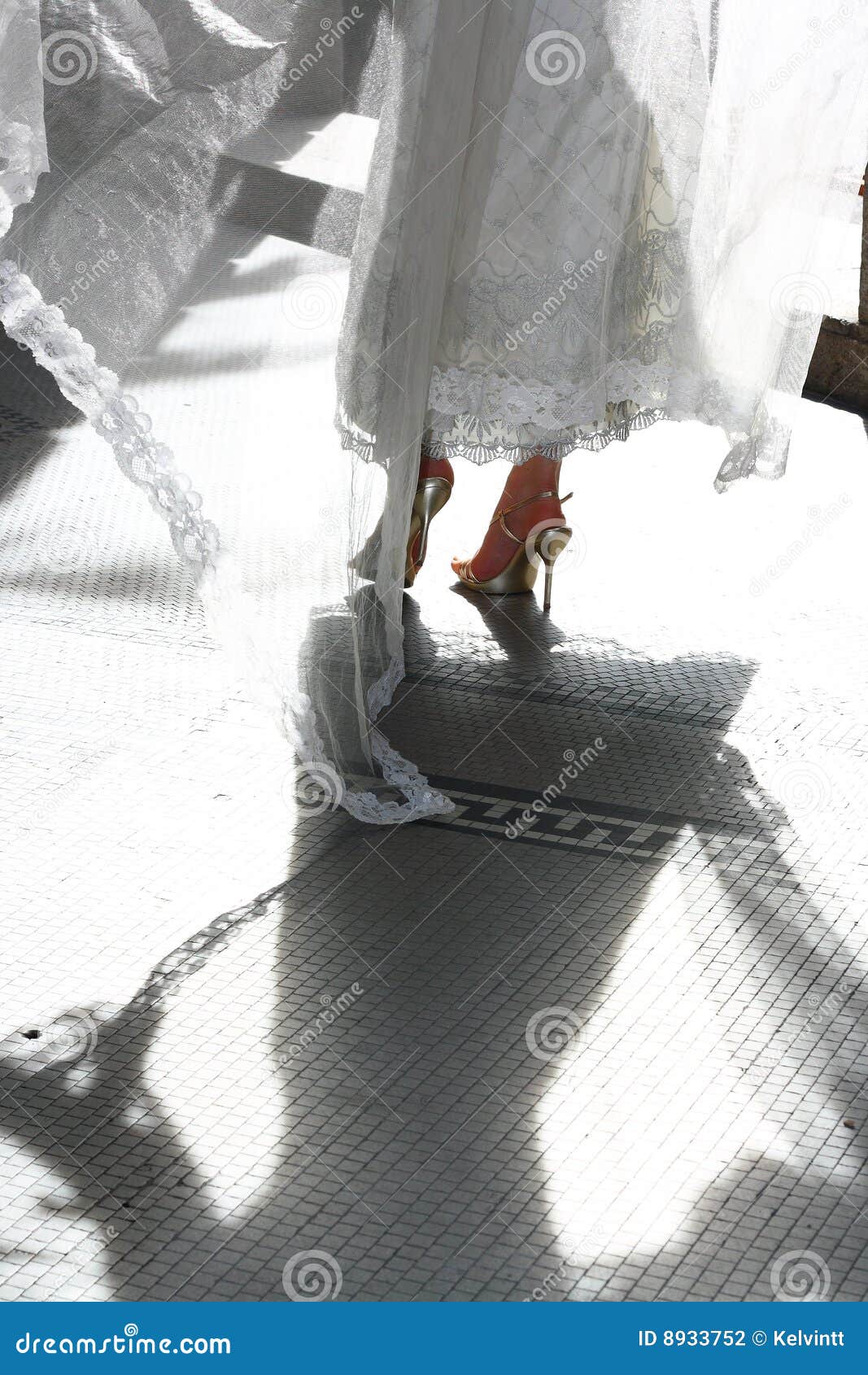Bride s Dress with Shadow stock photo. Image of bridal - 8933752