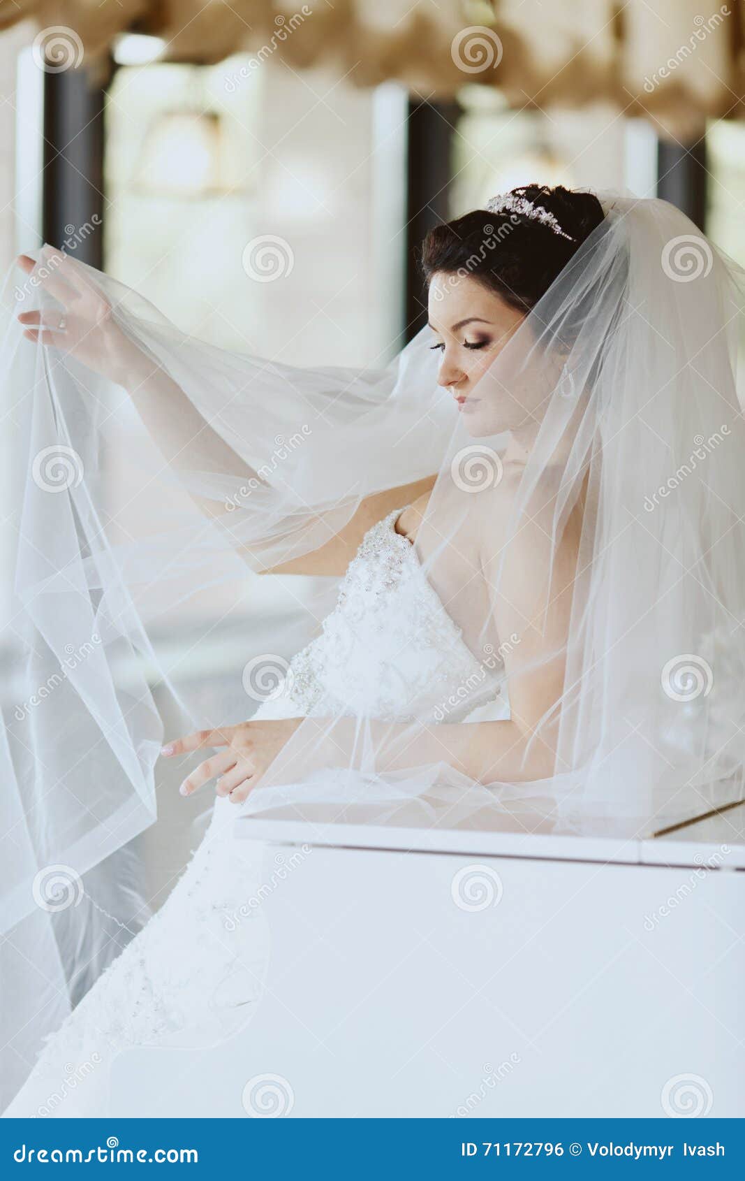 Bride S Face is Hidden Behind a Veil while she Stands Leaned on Stock ...