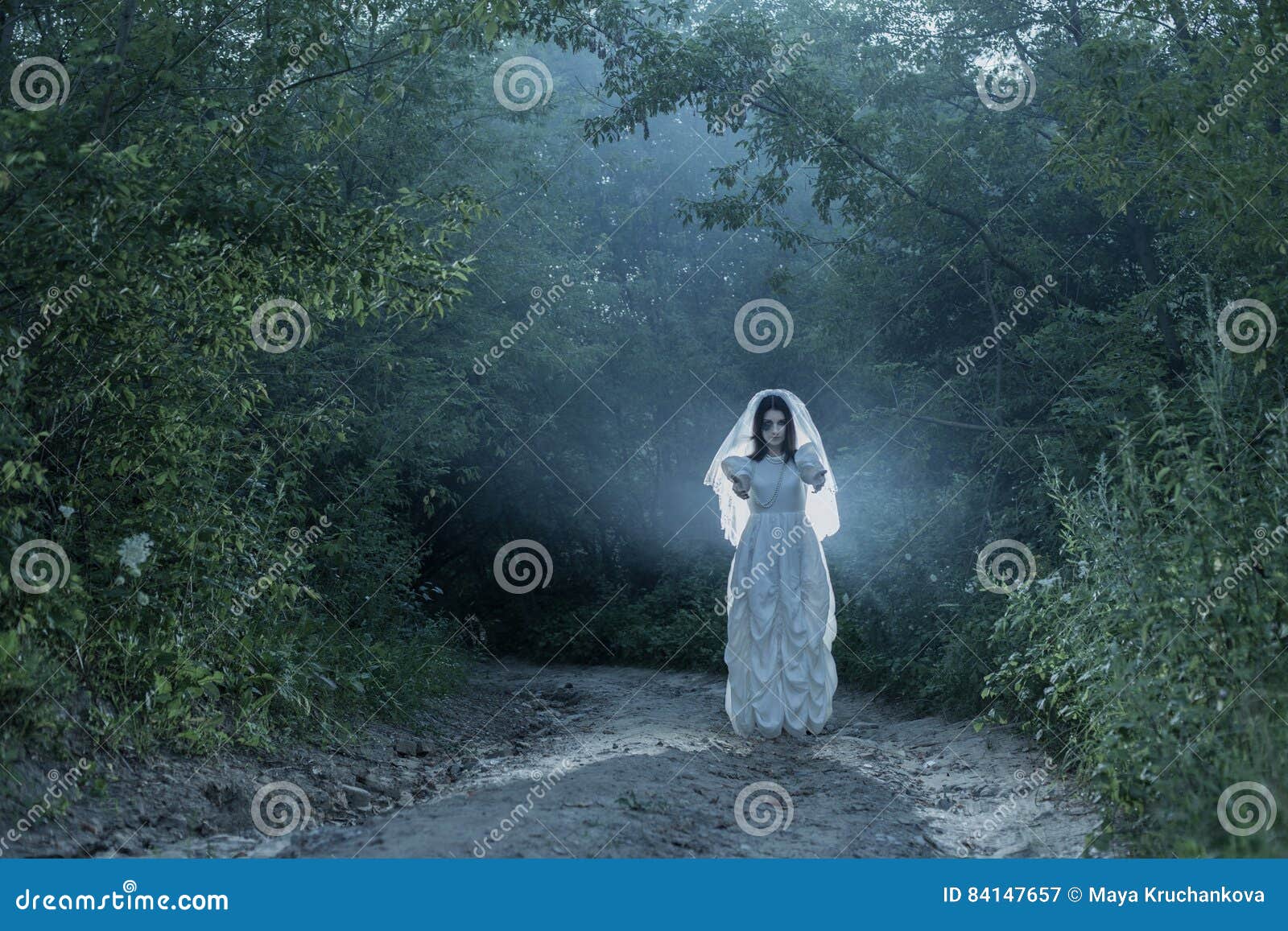 Bride`s Ghost in Night Forest Stock Image - Image of magic, ethereal ...