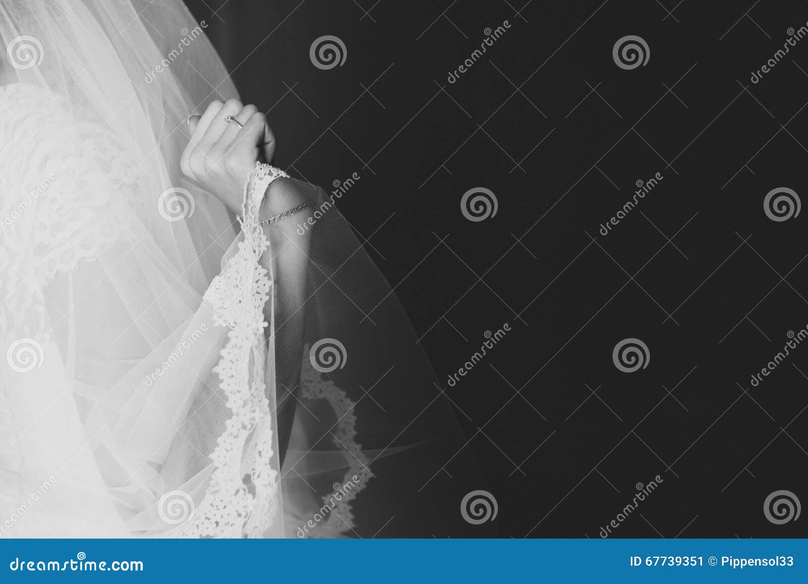Bride S Hand Holding the Veil Stock Image - Image of white, hand: 67739351