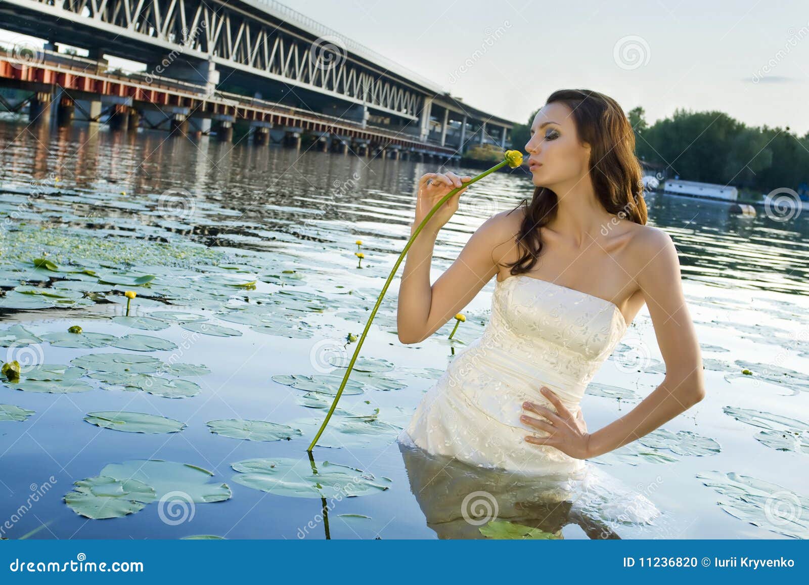 Bride s portrait in water stock photo. Image of married - 11236820