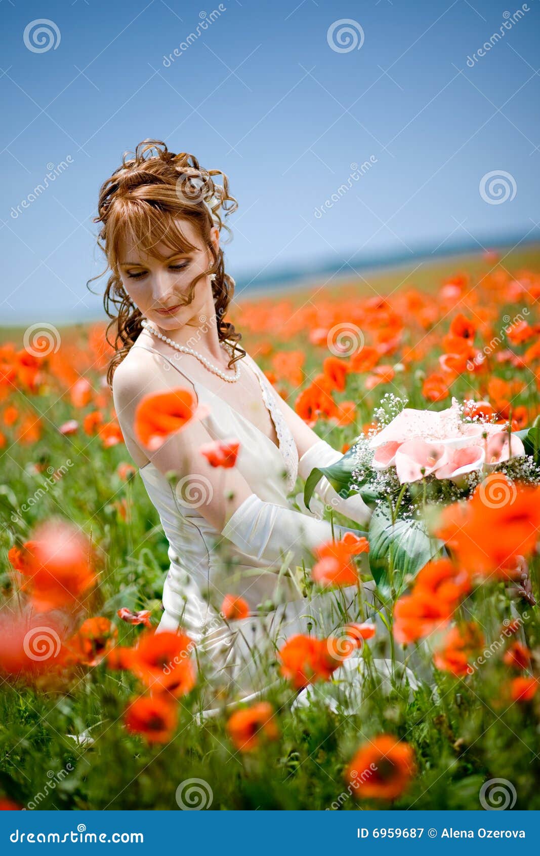 Bride Sitting in Field of Flowers Stock Image - Image of posing ...