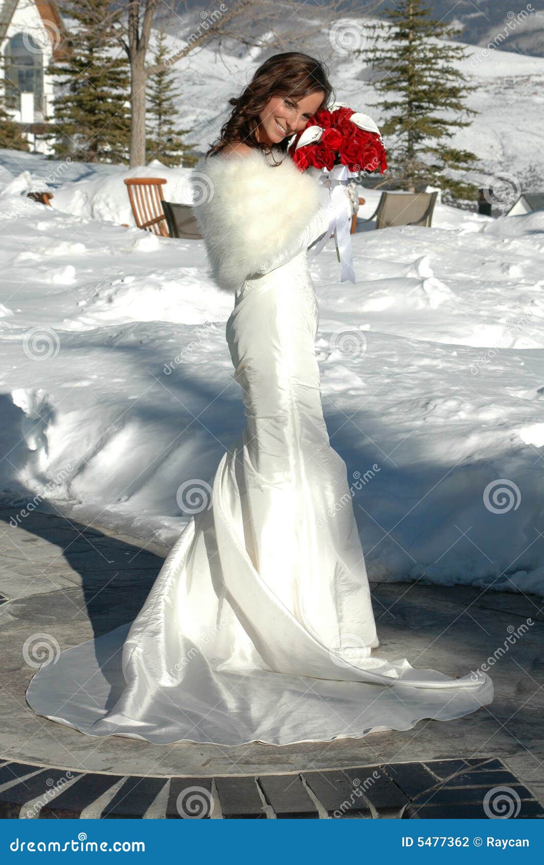 Bride in the Snow stock photo. Image of cold, link, brunette - 5477362