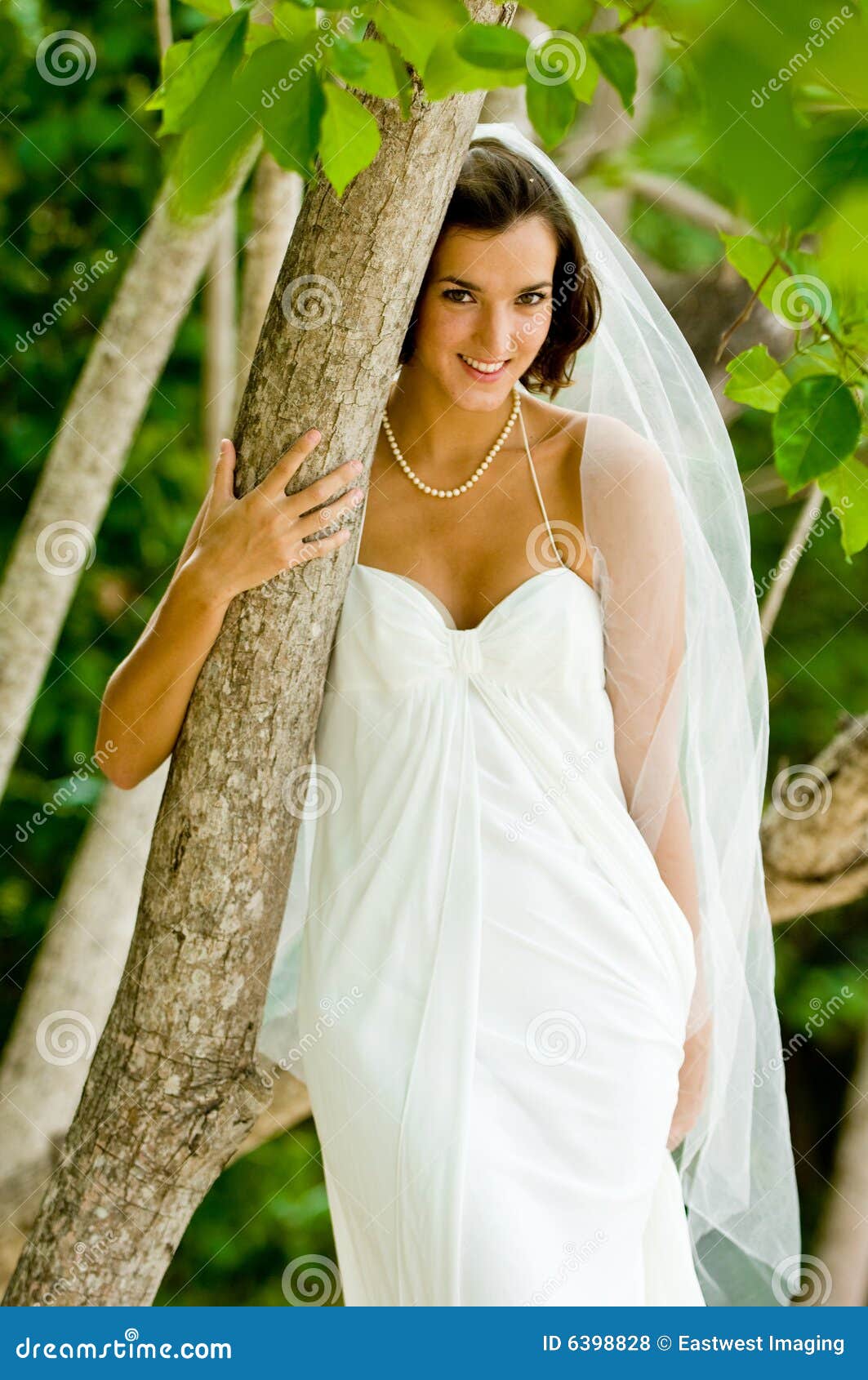 Bride in Tree stock photo. Image of dress, standing, portrait - 6398828