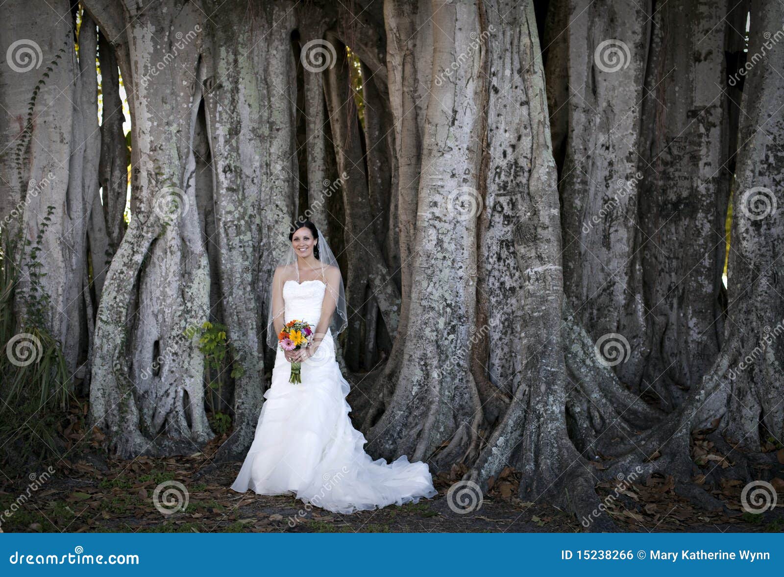 Bride under tree stock photo. Image of marry, beauty - 15238266