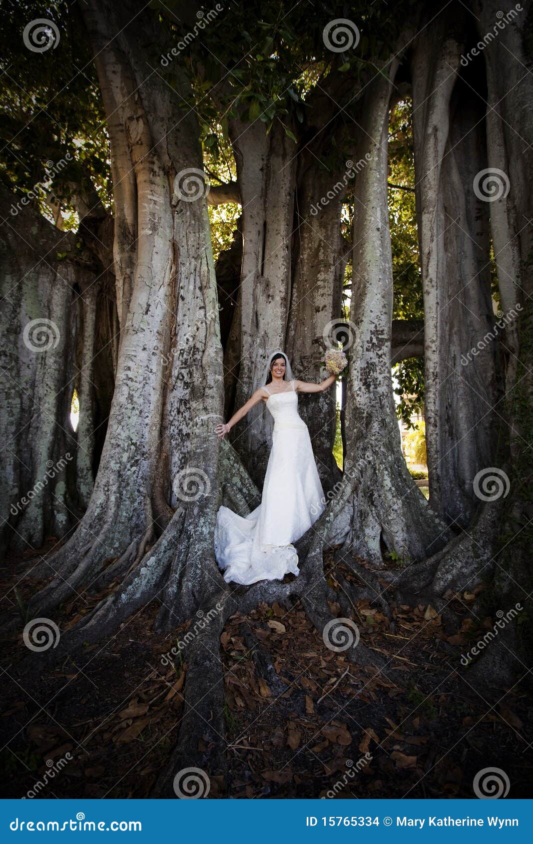 Bride under tree stock photo. Image of color, beauty - 15765334