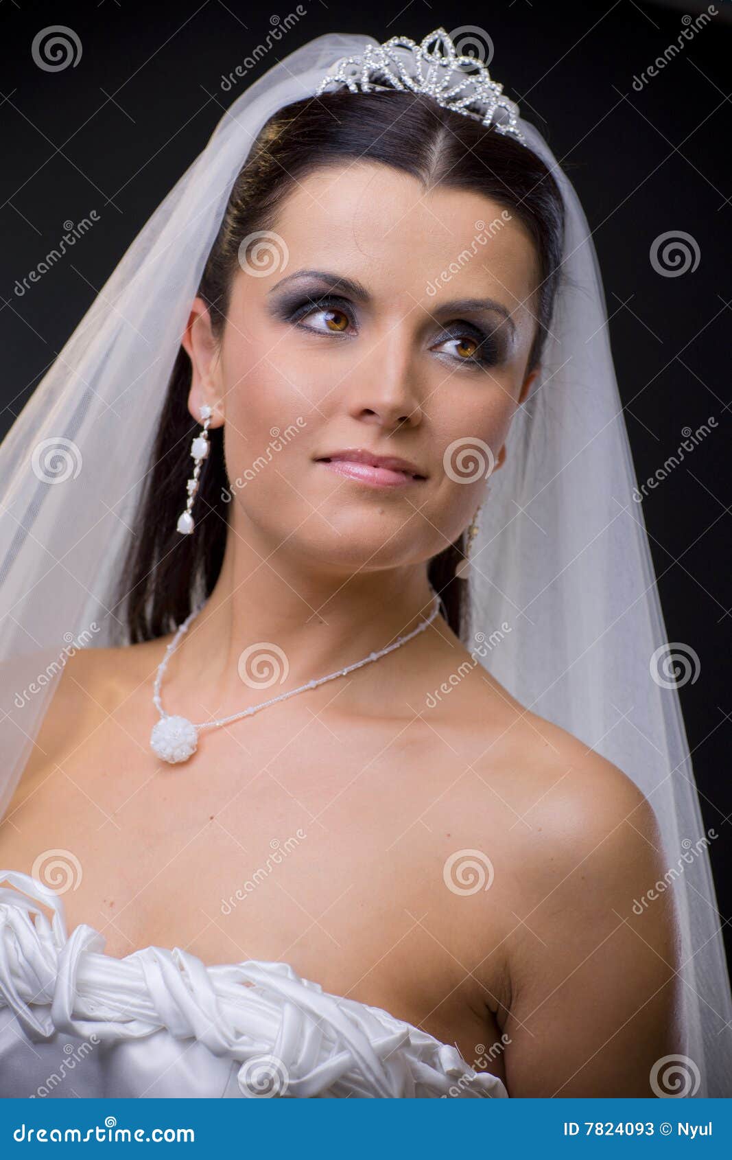 Bride in veil stock image. Image of bride, american, european - 7824093