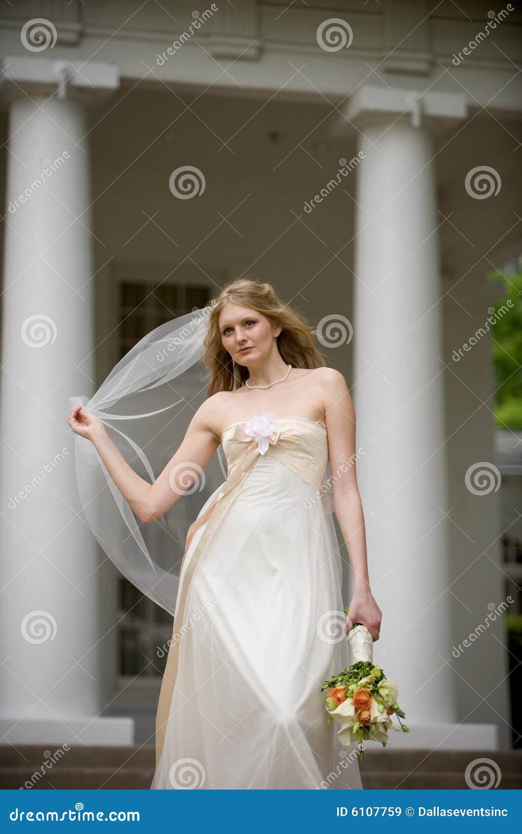 Bride with veil blowing stock image. Image of fashion - 6107759