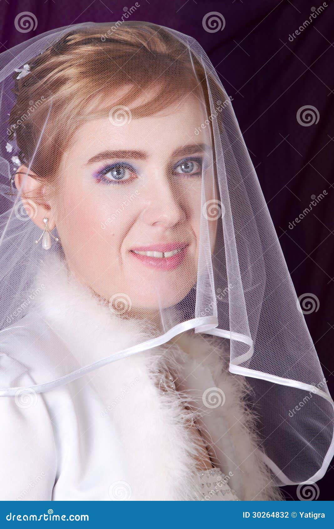 Bride with a veil stock photo. Image of love, person - 30264832