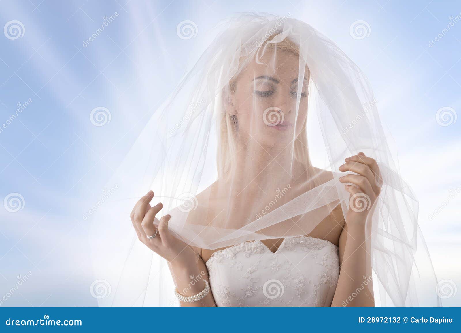 Bride with Veil on the Face Looks at Left Stock Photo - Image of ...