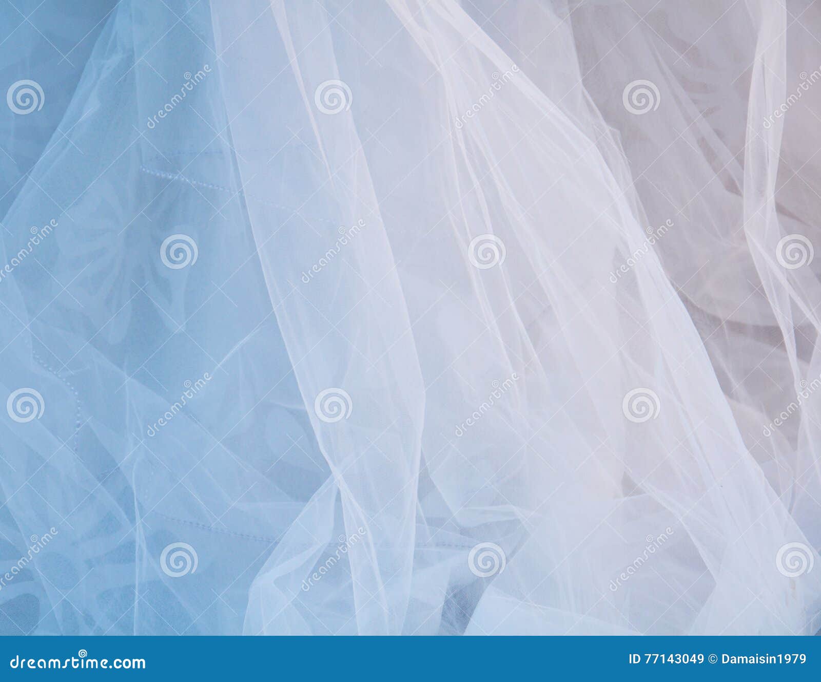 Bride Veil Texture And Background Stock Photo - Image: 77143049