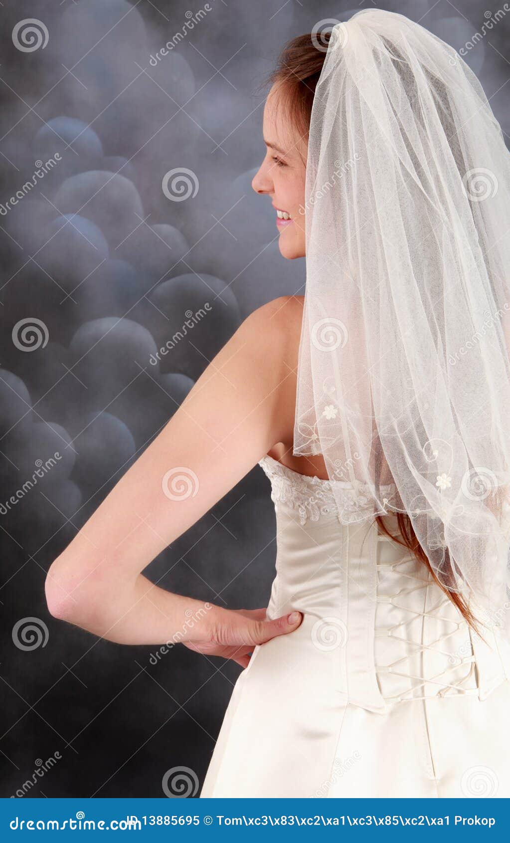125 Bride Veiled Wedding Dress Stock Photos - Free & Royalty-Free Stock ...
