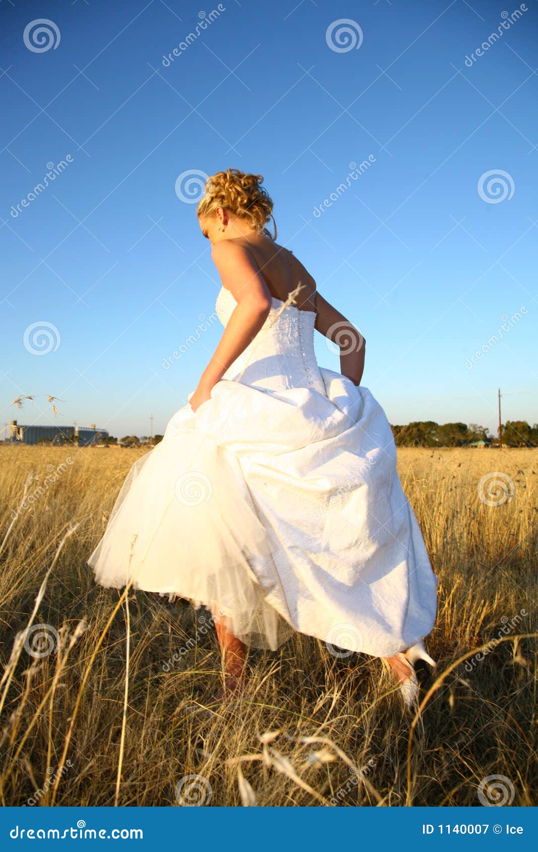 Bride Walking stock image. Image of couple, outdoors, holding - 1140007