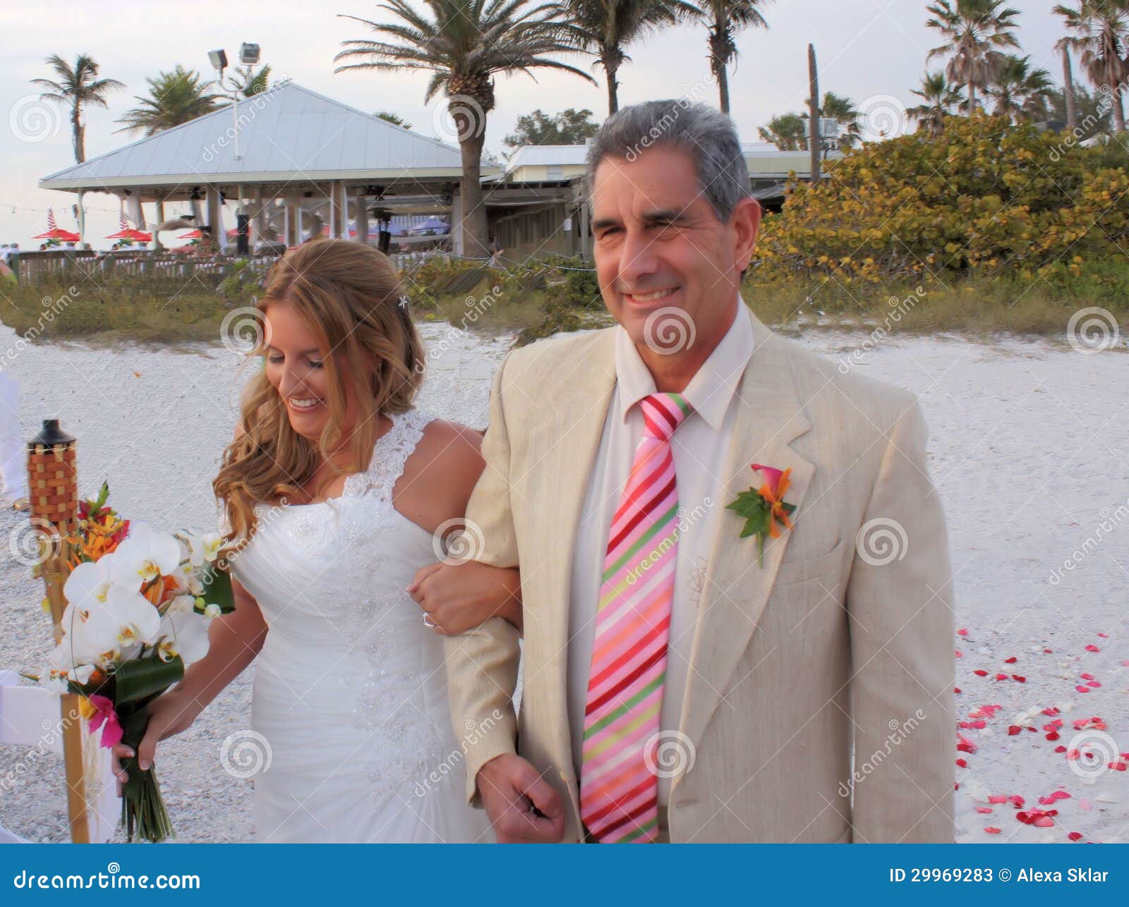 Bride with her father stock image. Image of torch, unity - 29969283