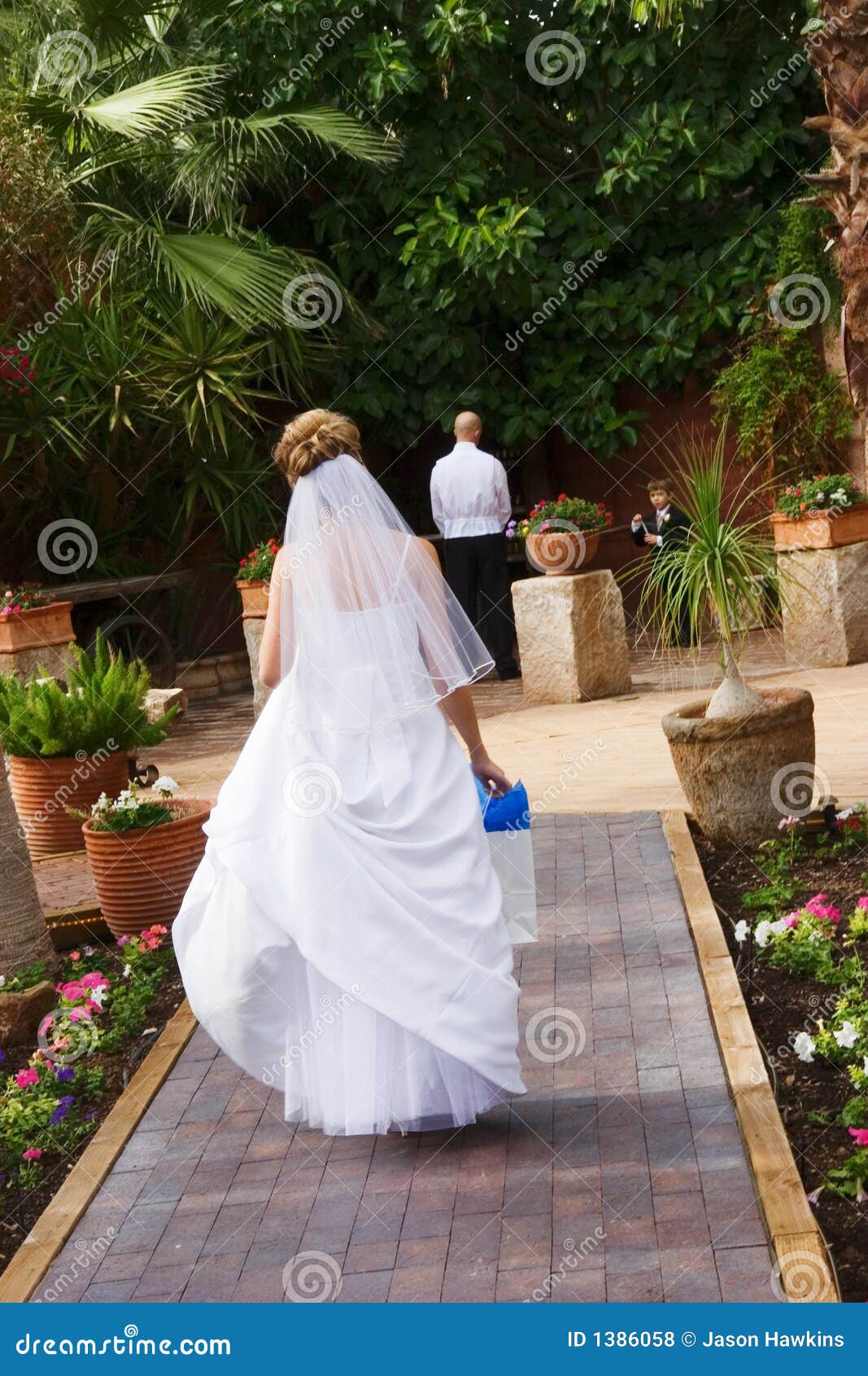 Bride walking to groom stock photo. Image of trees, groom - 1386058
