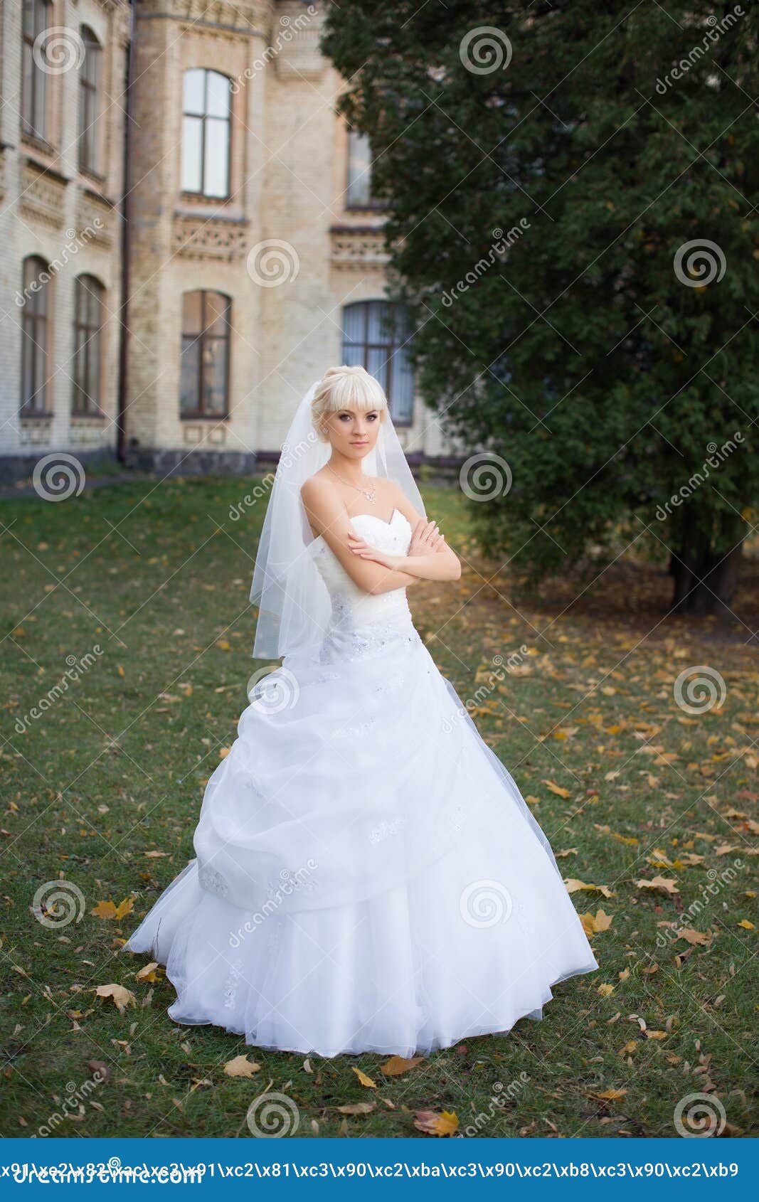 Bride Walking on the Wedding Day Stock Photo - Image of bride, fashion ...