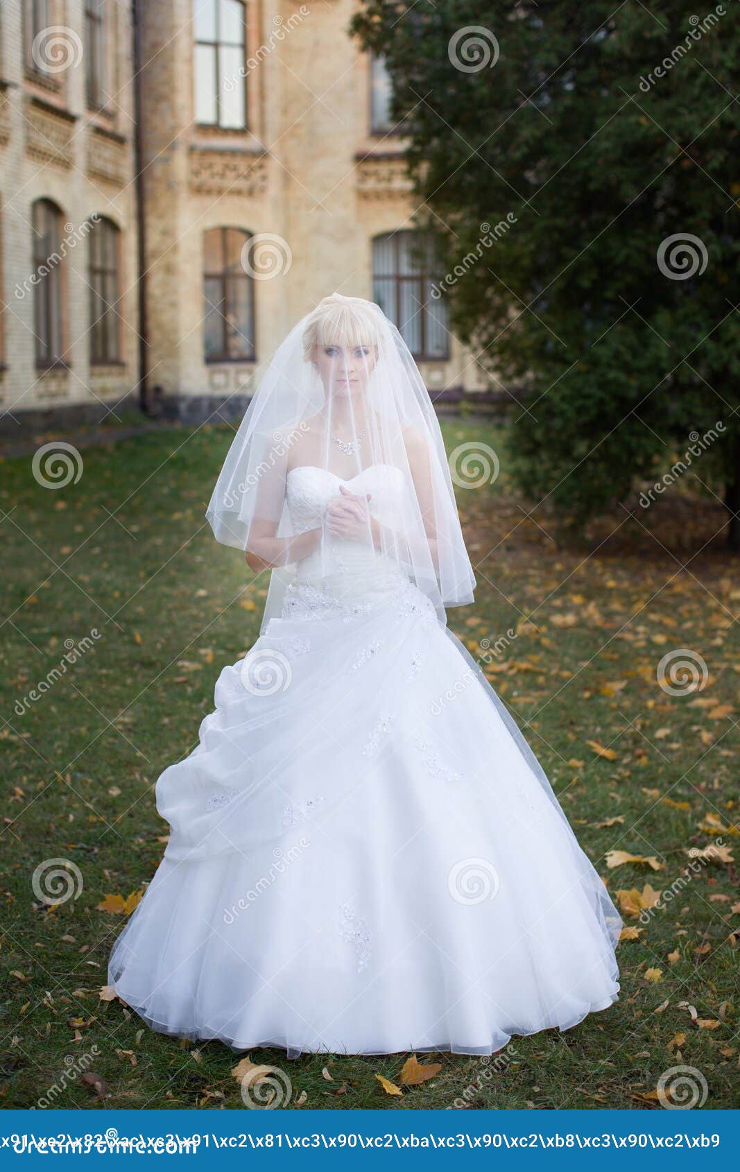 Bride Walking on the Wedding Day Stock Image - Image of gown ...