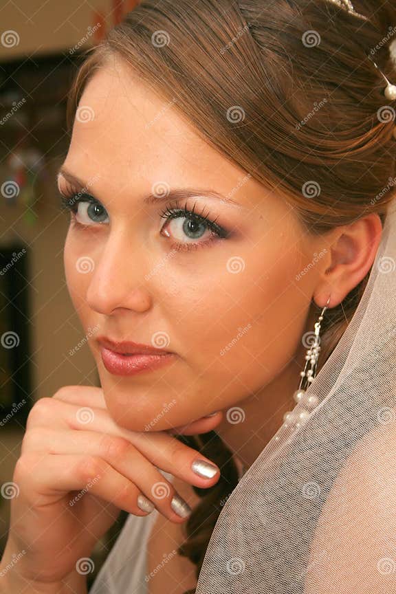 Bride In Wedding Dress Stock Image Image Of Engagement 5589331