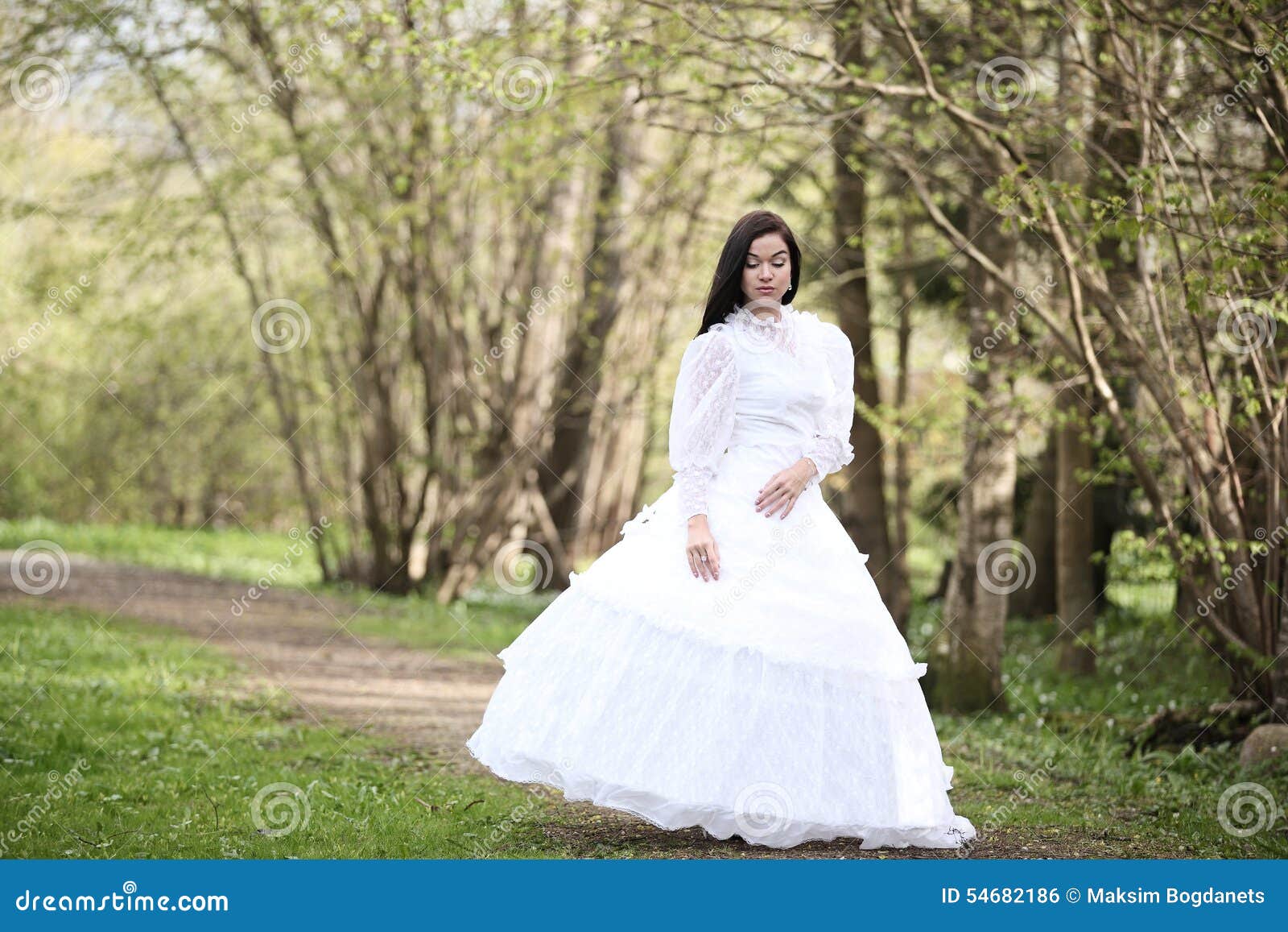 Bride Wedding Dress in Forest Vintage White Tree Stock Photo - Image of ...