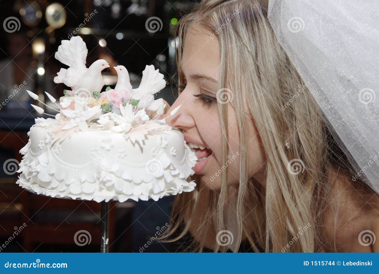 Bride and wedding pie stock photo. Image of matrimony - 1515744