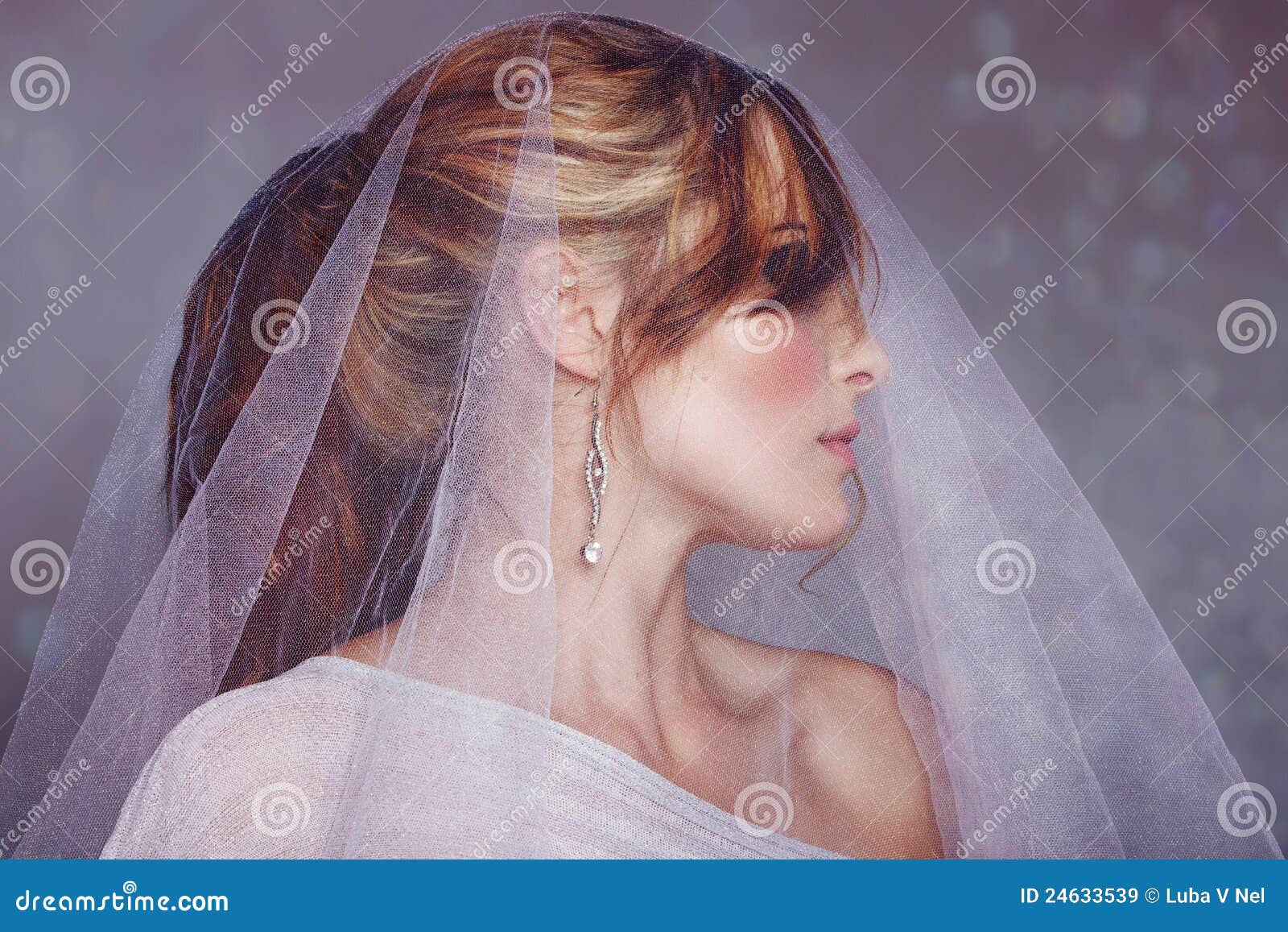738 Bride Profile Veil Stock Photos - Free & Royalty-Free Stock Photos ...